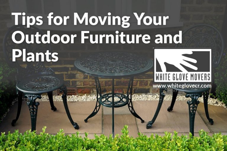 Tips for Moving Your Outdoor Furniture and Plants | White Glove Movers