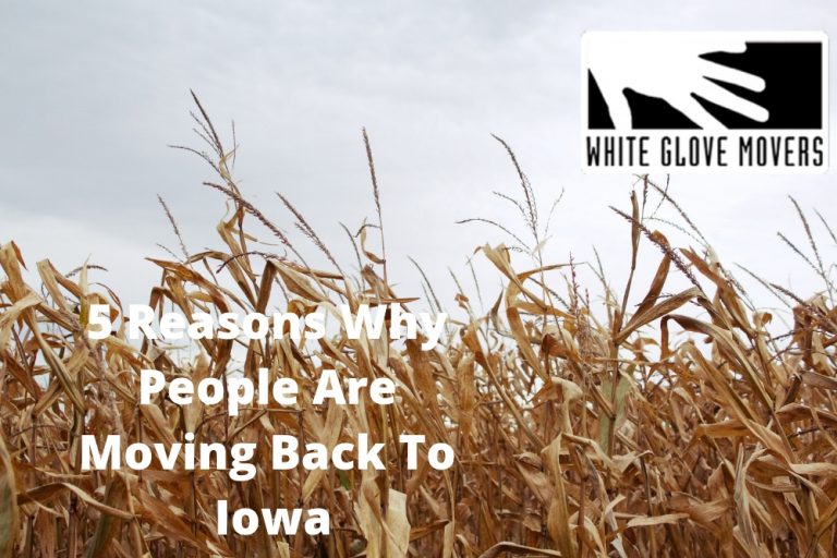 5 Reasons Why People Are Moving Back To Iowa | White Glove Movers